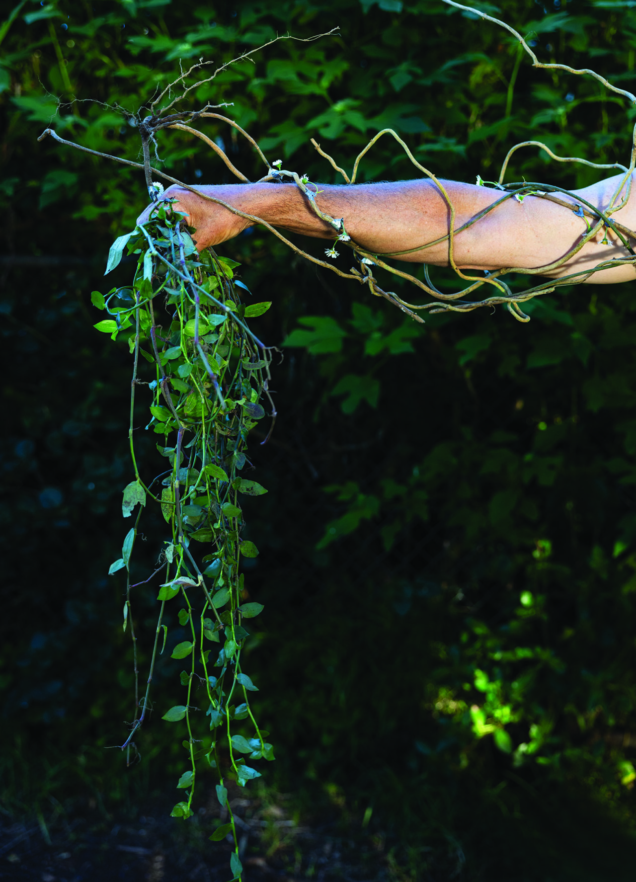 Andrea Daly and Caryline Boreham - Aotearoa New Zealand Jewellery